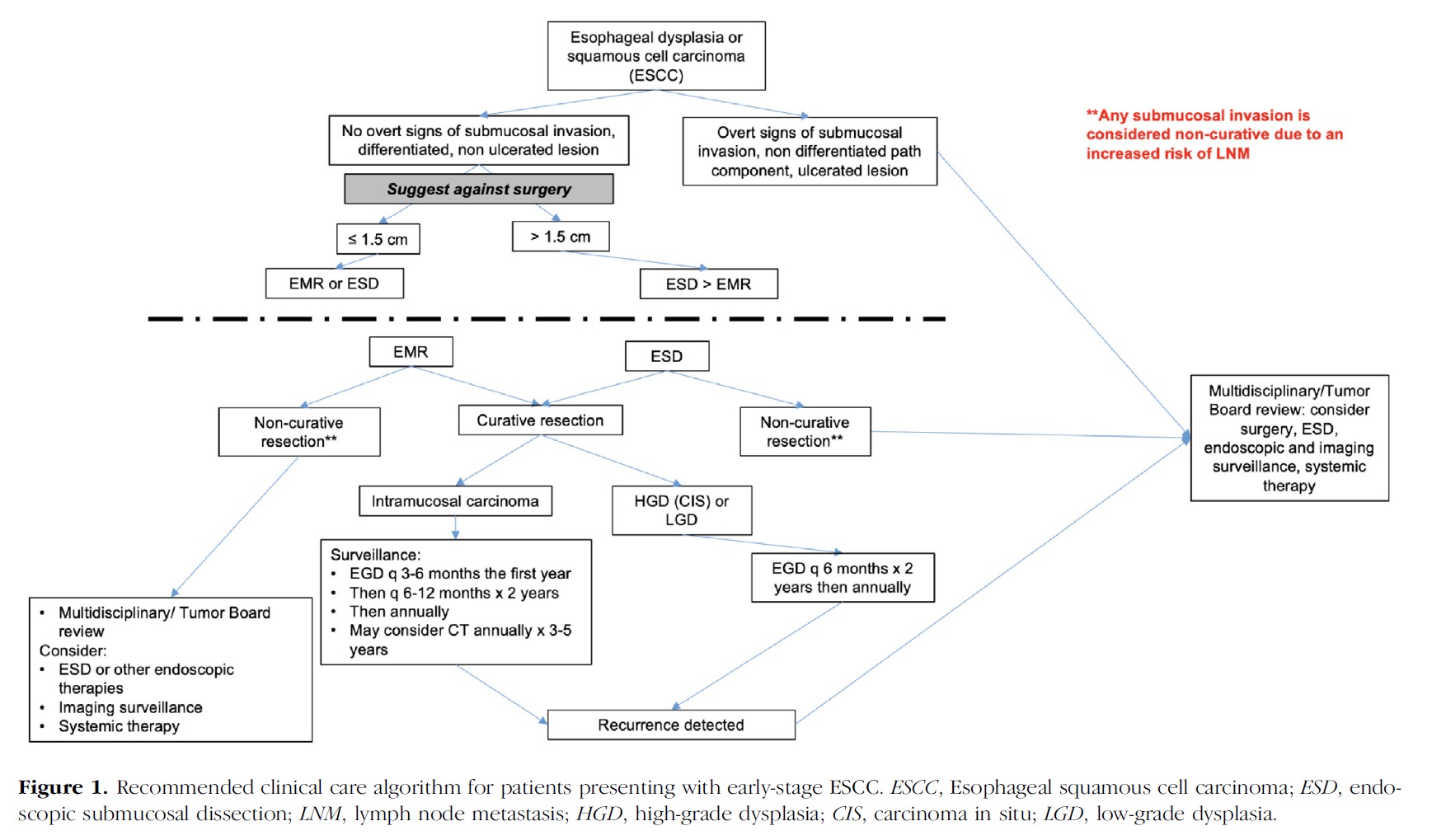 Руководство по эндоскопической подслизистой диссекции для лечения ...