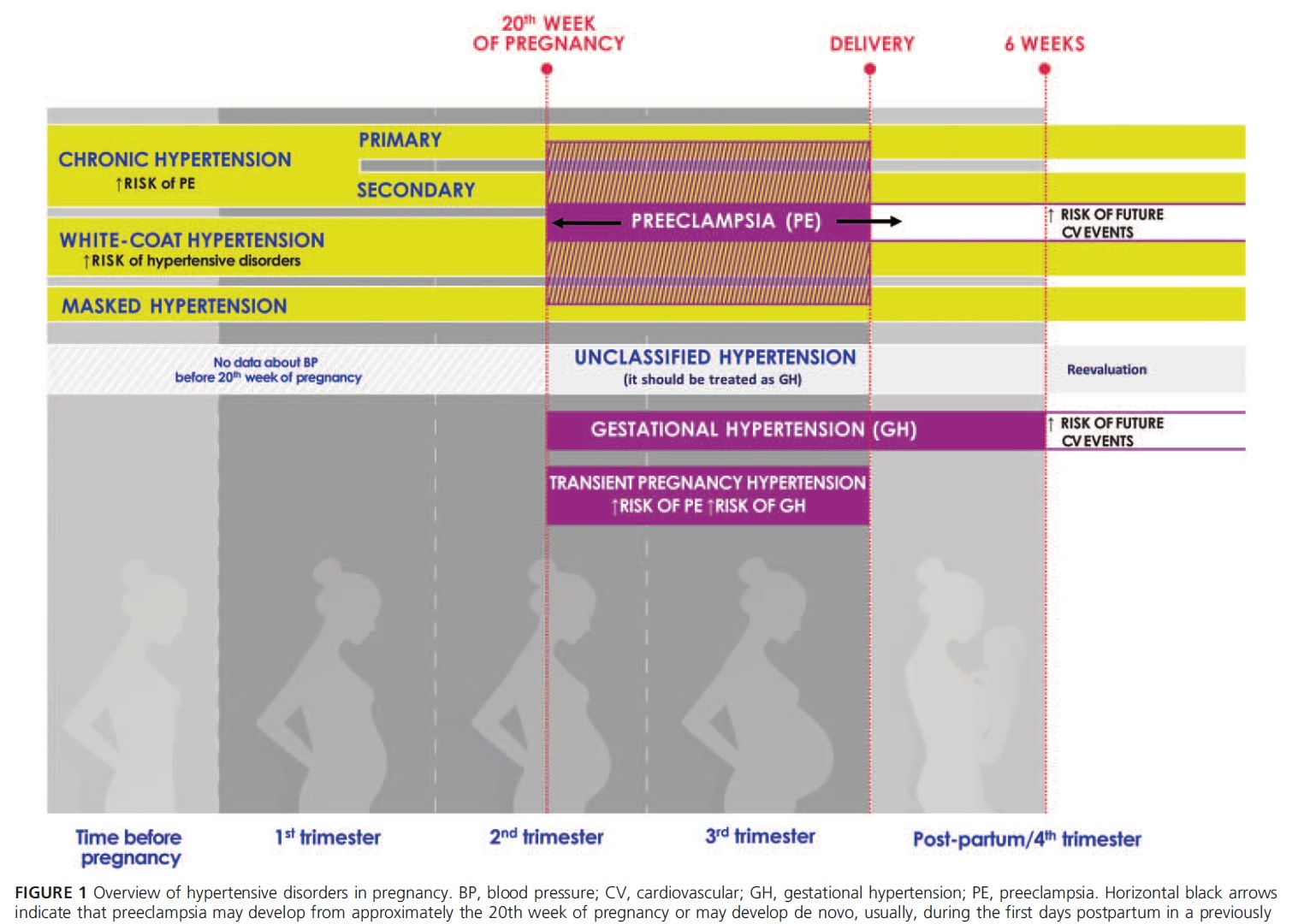 Лечение гипертонических расстройств во время беременности (European Society of Hypertension ...