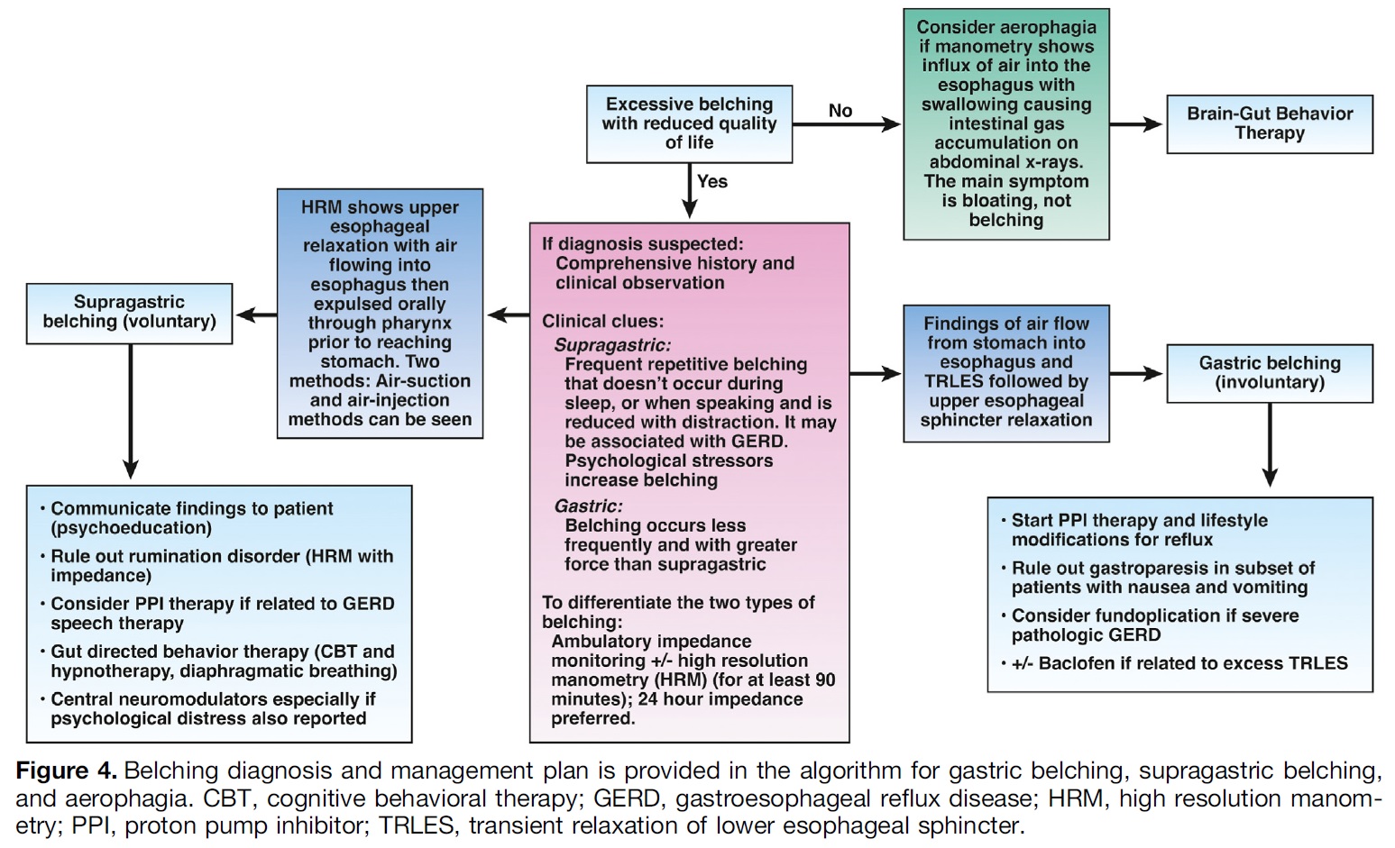 Руководство по оценке и лечению отрыжки, вздутия и растяжения живота ...