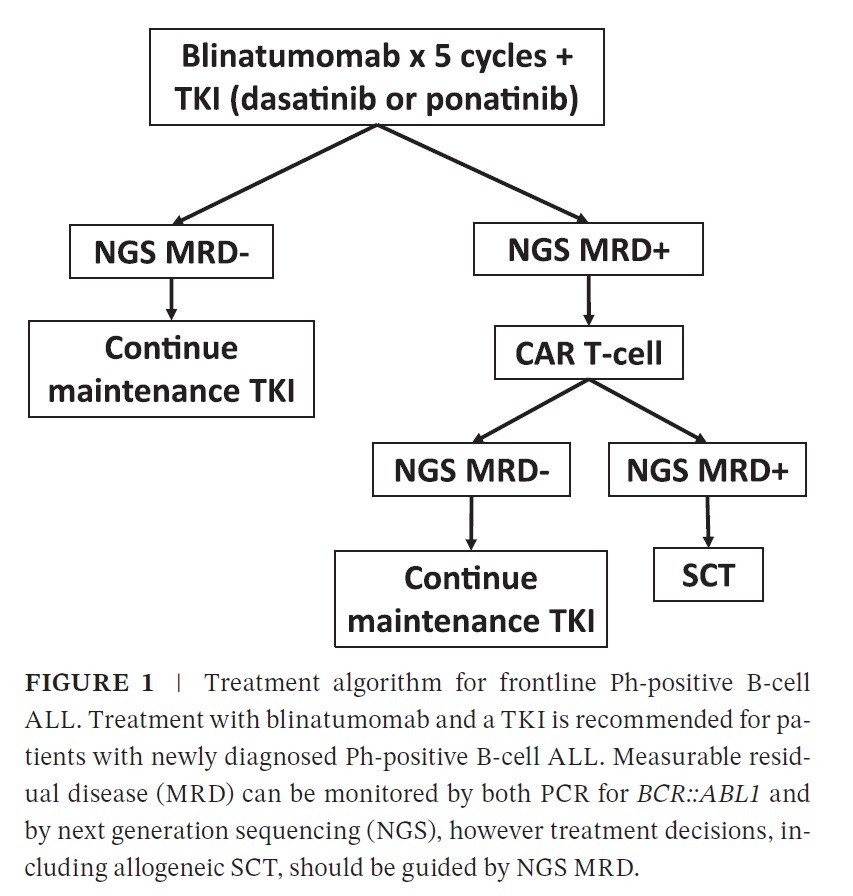 Острый лимфобластный лейкоз у взрослых: обновление 2025 г. по диагностике, терапии и мониторингу ...